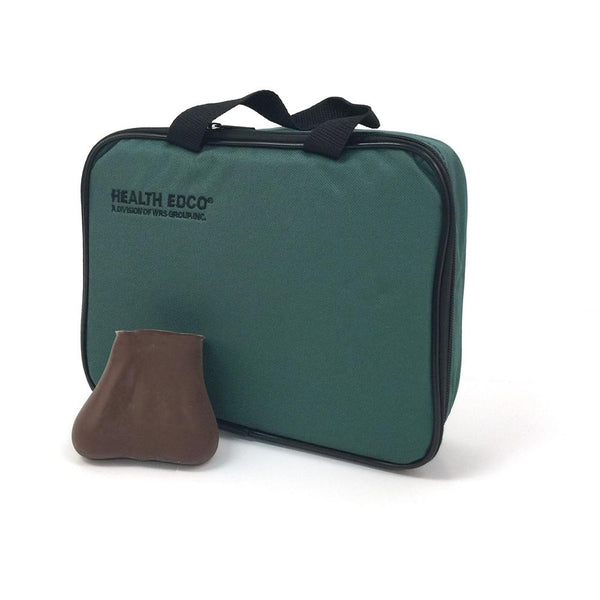 TSE Model, Brown (two lumps in one testicle) HE-26406E – GTSimulators.com
