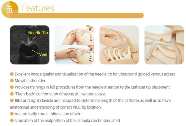 Ultrasound-Guided PICC Training Simulator – GTSimulators.com